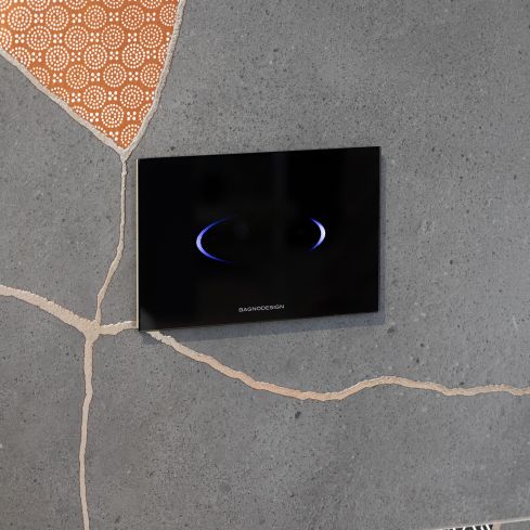 Flushing Cisterns & Flush Plates - Bathroom